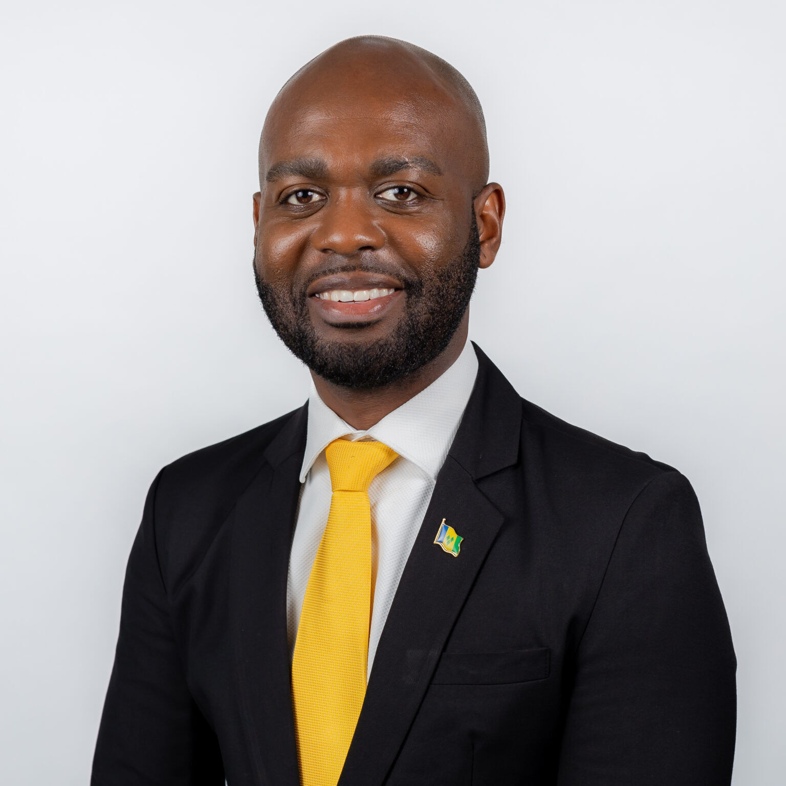 New Democratic Party (NDP) - St. Vincent